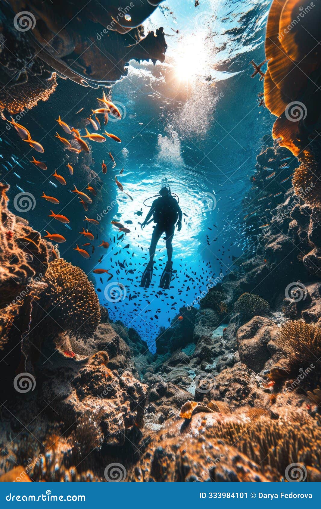 Scuba Diver Exploring Vibrant Coral Reef Underwater with Sunlight Stock ...