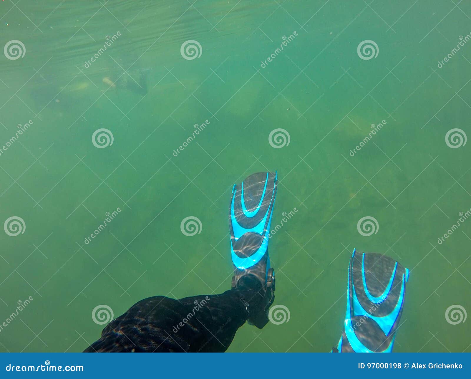 Scuba Diver Fins and Legs Underwater Stock Photo - Image of divers ...