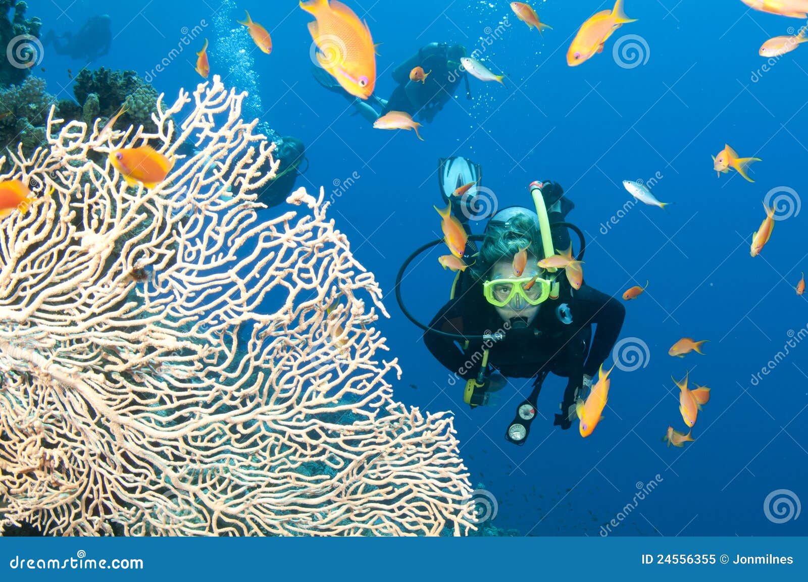 Scuba Diver with Fish and Coral Stock Image - Image of mask, underwater ...