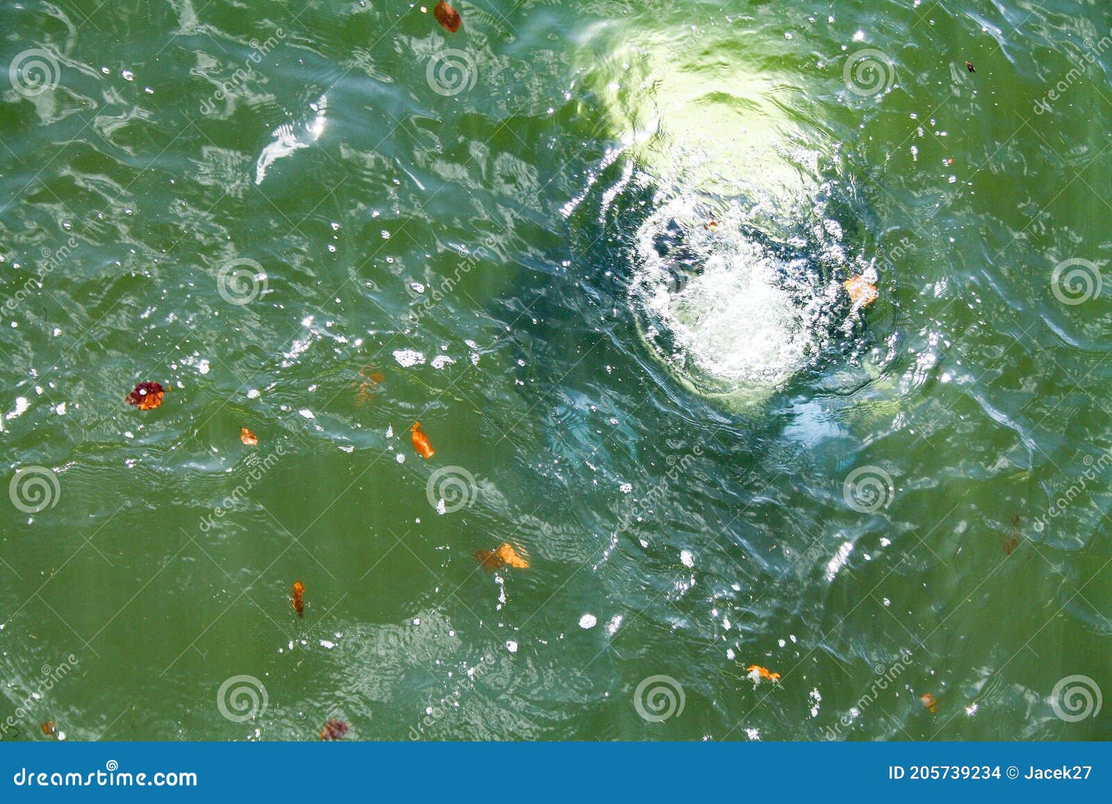 Scuba Diver Going Underwater Stock Photo - Image of setting, leisure ...