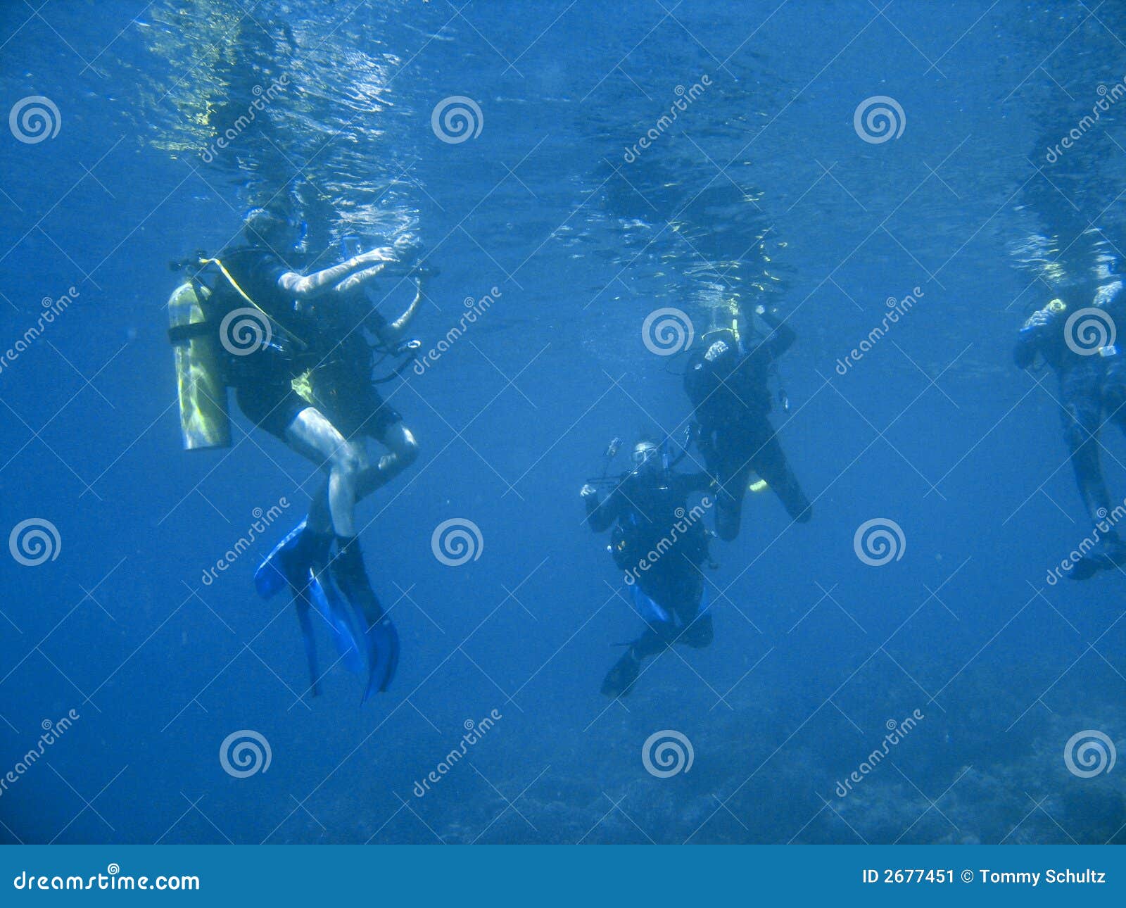 Scuba diver group lesson stock image. Image of beneath - 2677451