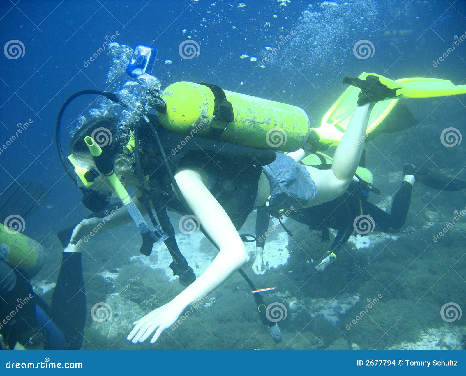 Scuba diver group lesson stock photo. Image of adventure - 2677794