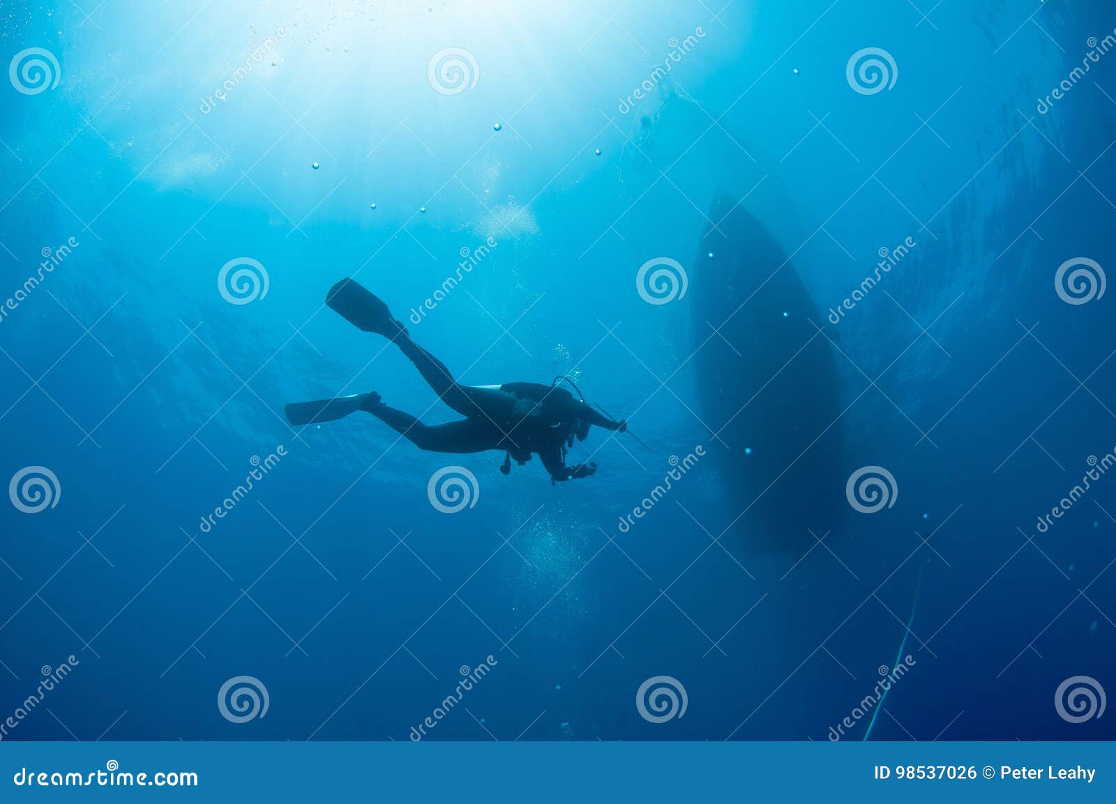 A Scuba Diver Heads Toward the Surface after a Dive. Stock Photo ...