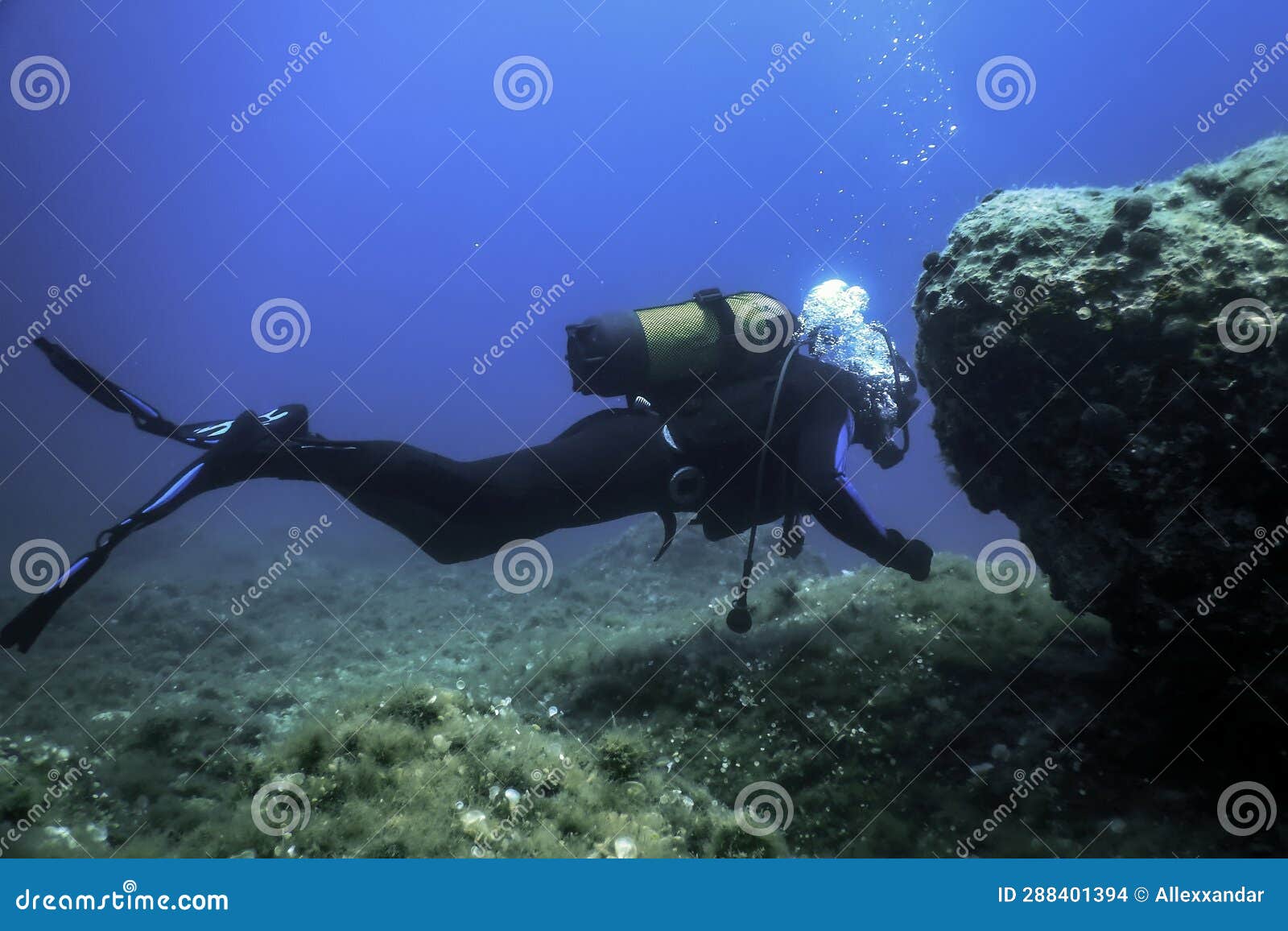 Scuba Diver Sea Bottom stock photo. Image of aquatic - 288401394