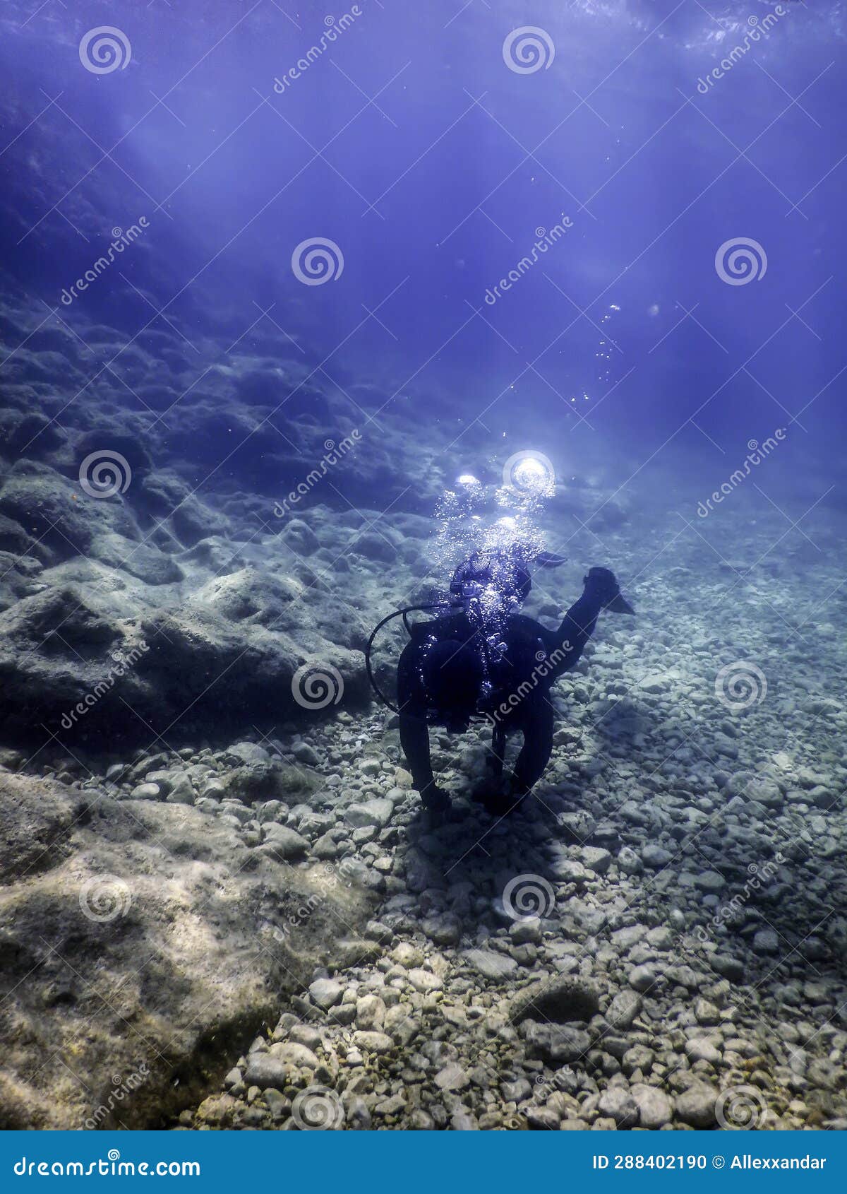 Scuba Diver Sea Bottom stock photo. Image of ocean, aquanaut - 288402190