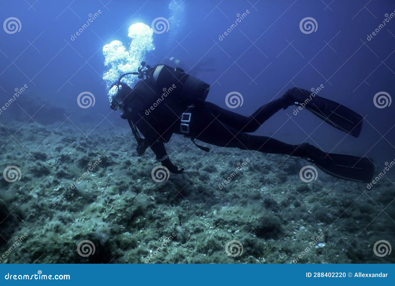 Scuba Diver Sea Bottom stock photo. Image of aquanaut - 288402220