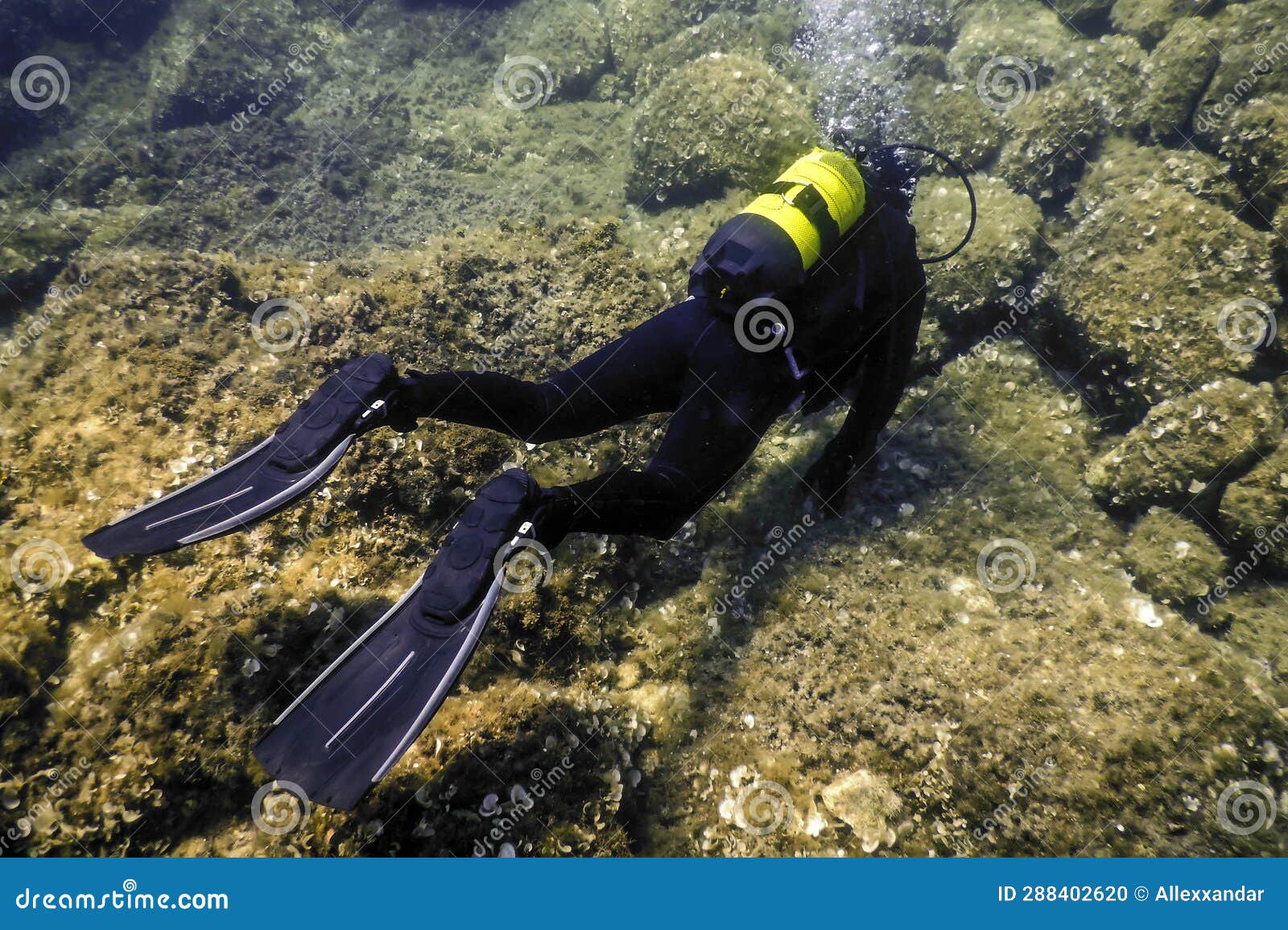 Scuba Diver Sea Bottom stock photo. Image of immersive - 288402620