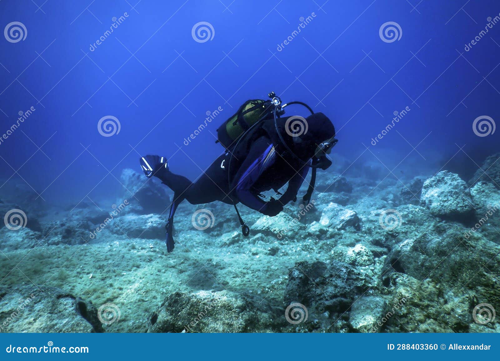Scuba Diver Sea Bottom stock photo. Image of marine - 288403360