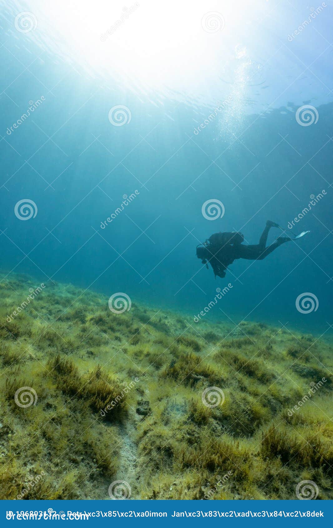 Scuba Diver in Shallow Water Stock Photo - Image of exploring, adriatic ...