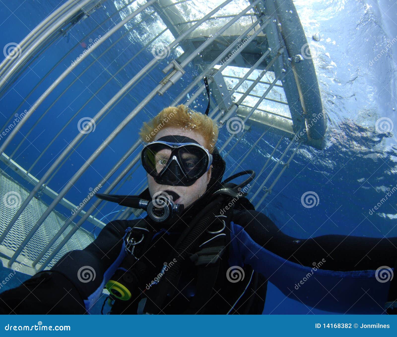 Scuba Diver with Shark Cage Stock Photo - Image of danger, depth: 14168382