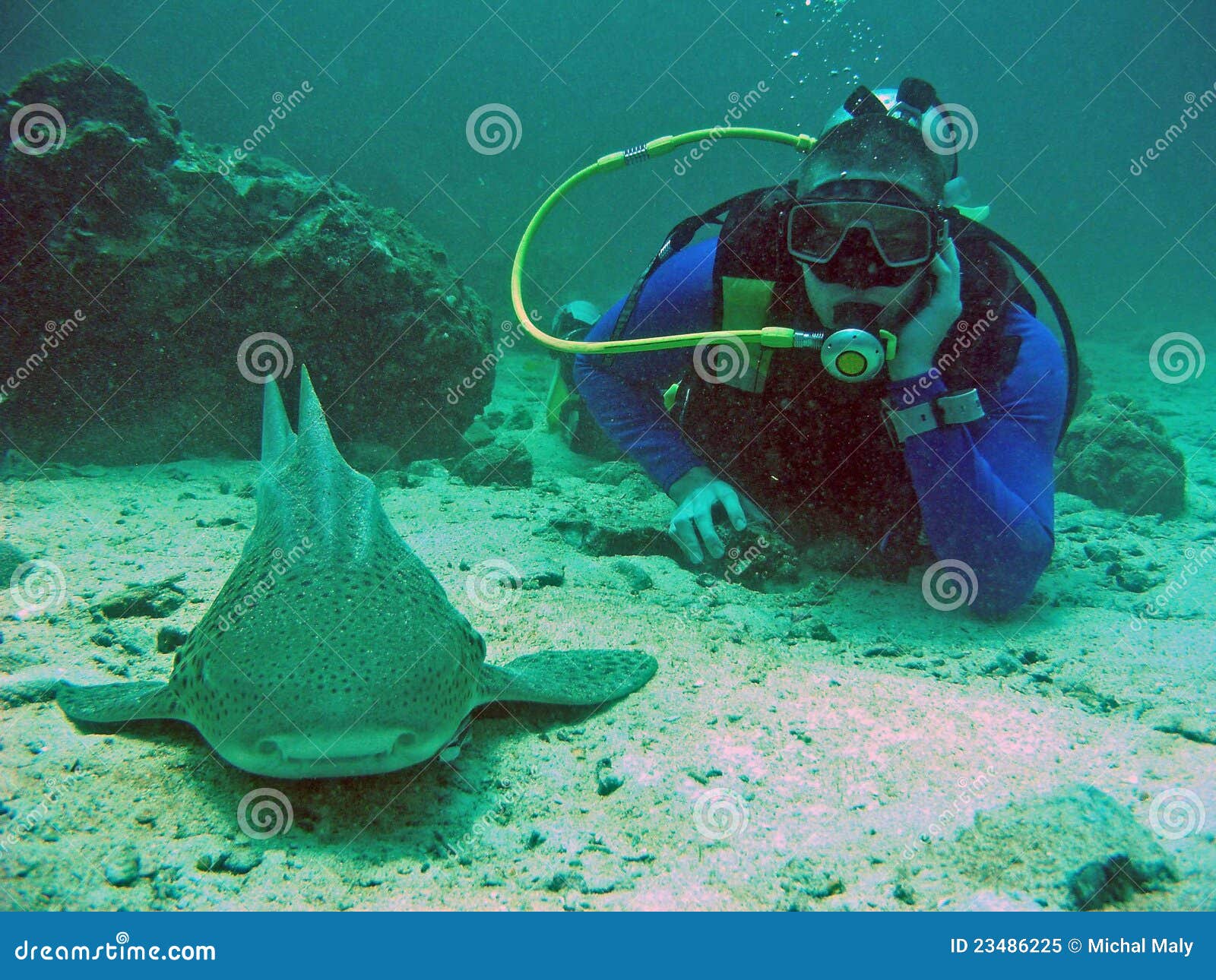 Scuba Diver and Shark, Thailand Stock Image - Image of fish, life: 23486225
