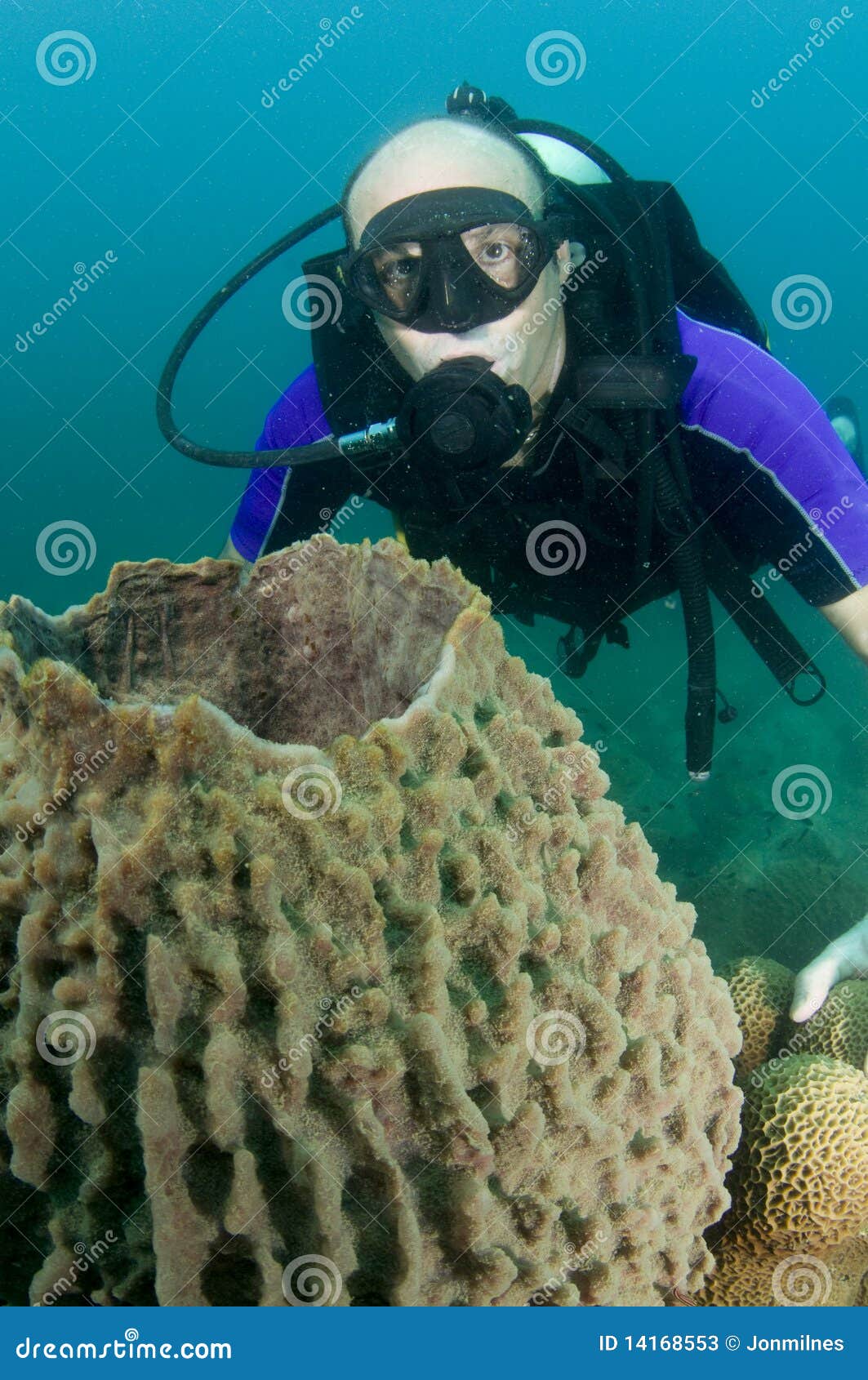 Scuba Diver with Sponge Coral Stock Image - Image of marine, nature ...