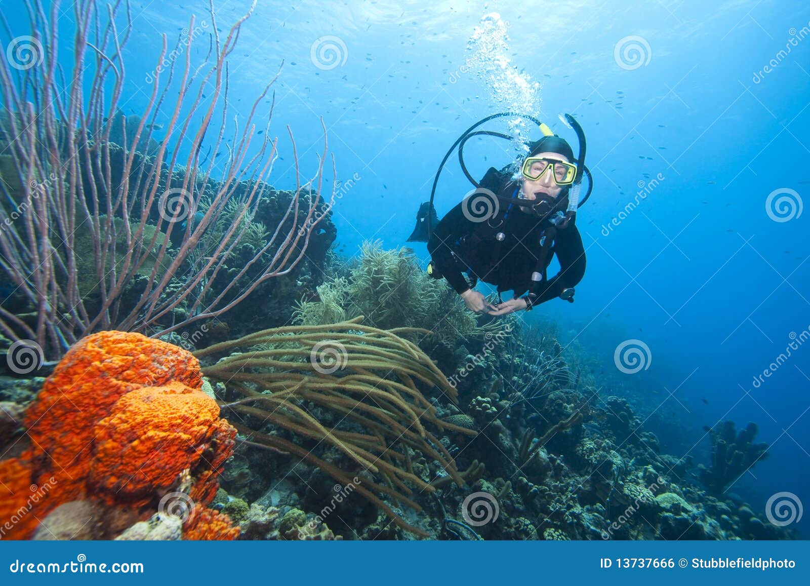 Scuba Diver Swimming Over Coral Reef Stock Photo - Image of leisure ...