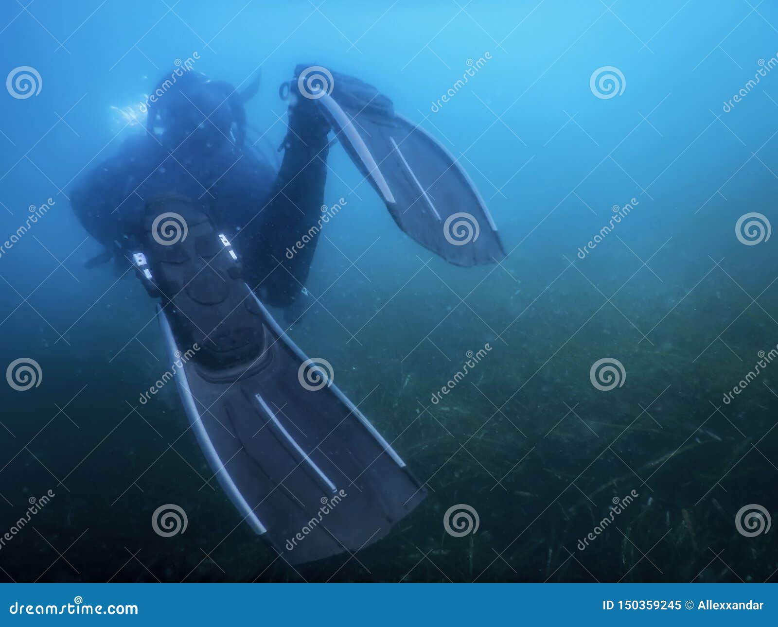 Scuba Diver Swimming Underwater Explores Reef and Examines Seabed Stock ...