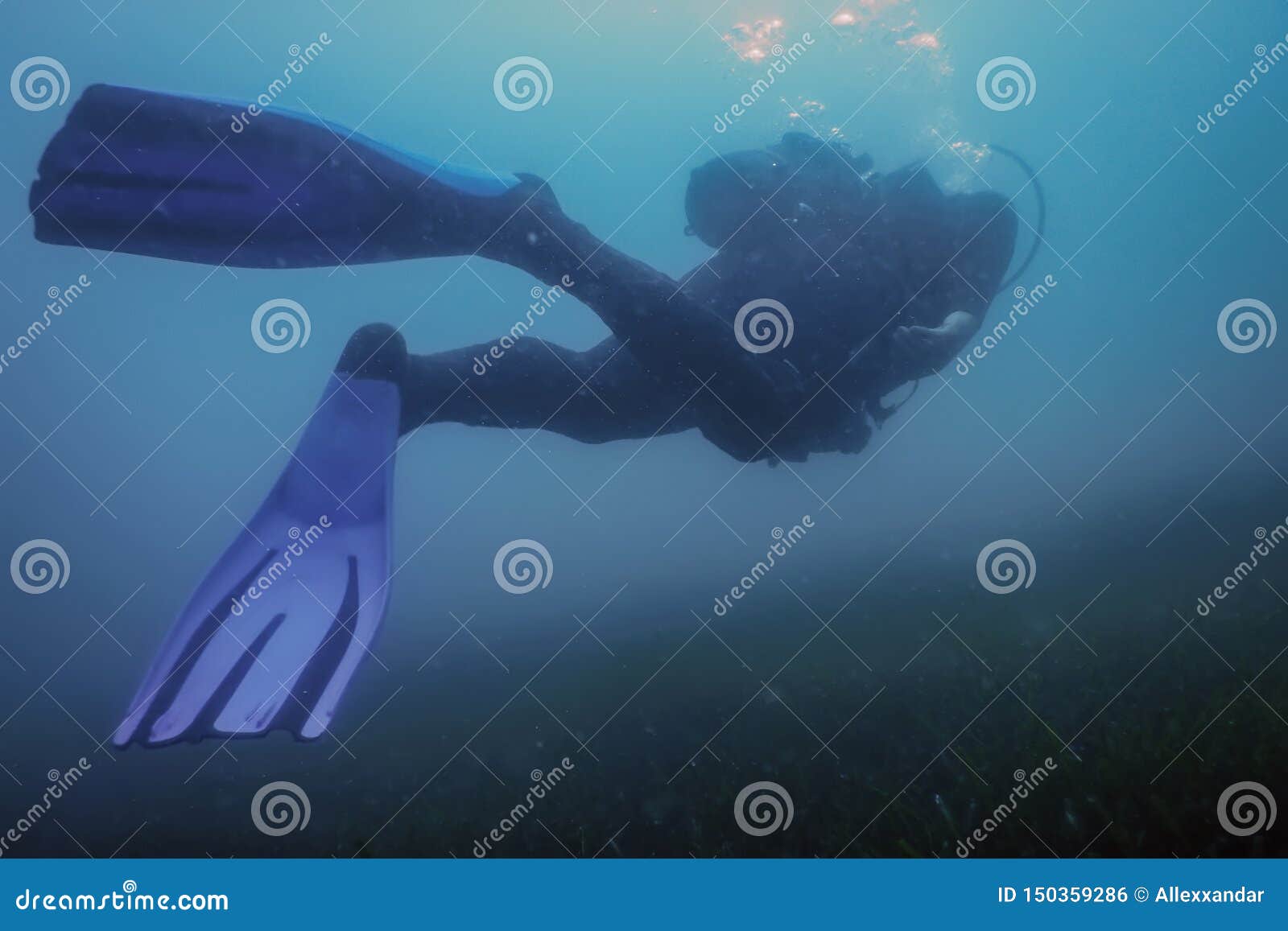 Scuba Diver Swimming Underwater Explores Reef and Examines Seabed Stock ...