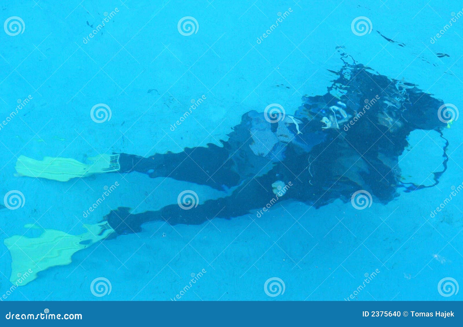 Scuba diver underwater stock photo. Image of overhead - 2375640
