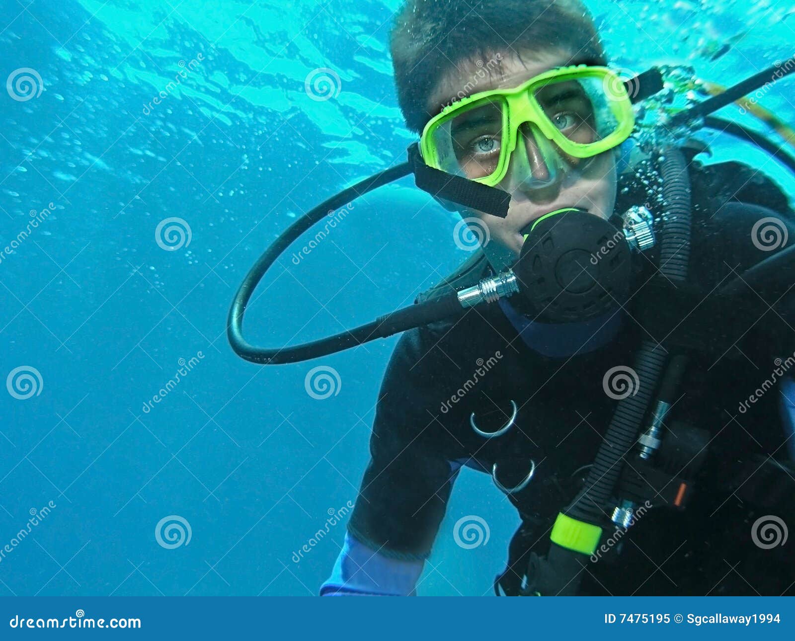 Scuba diver underwater stock image. Image of tropical - 7475195