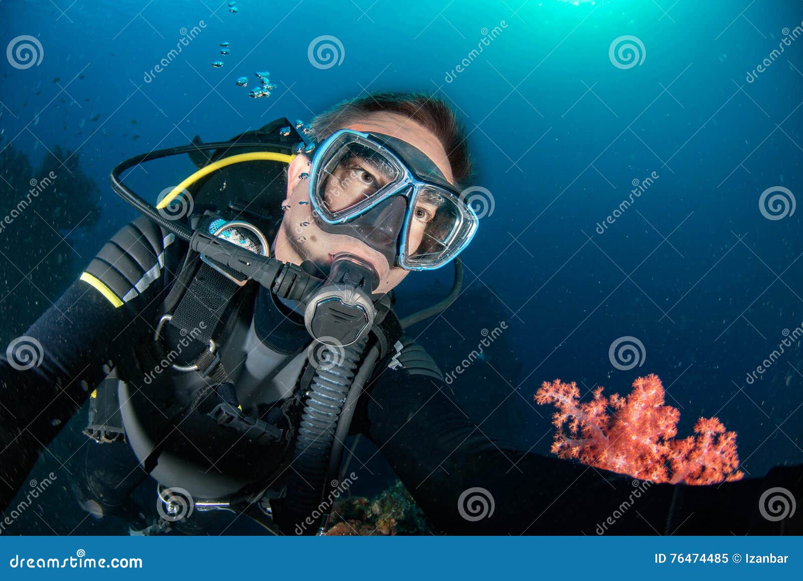 Scuba Diver Underwater Portrait in the Ocean Stock Image - Image of ...