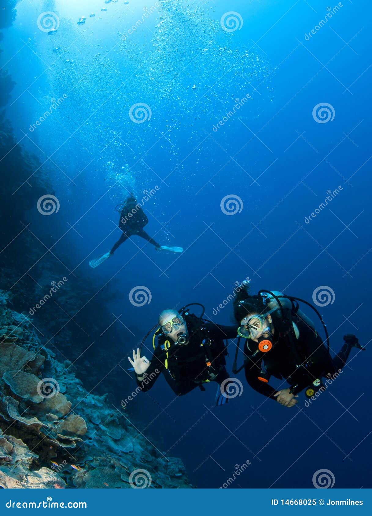 Scuba divers stock image. Image of three, underwater - 14668025