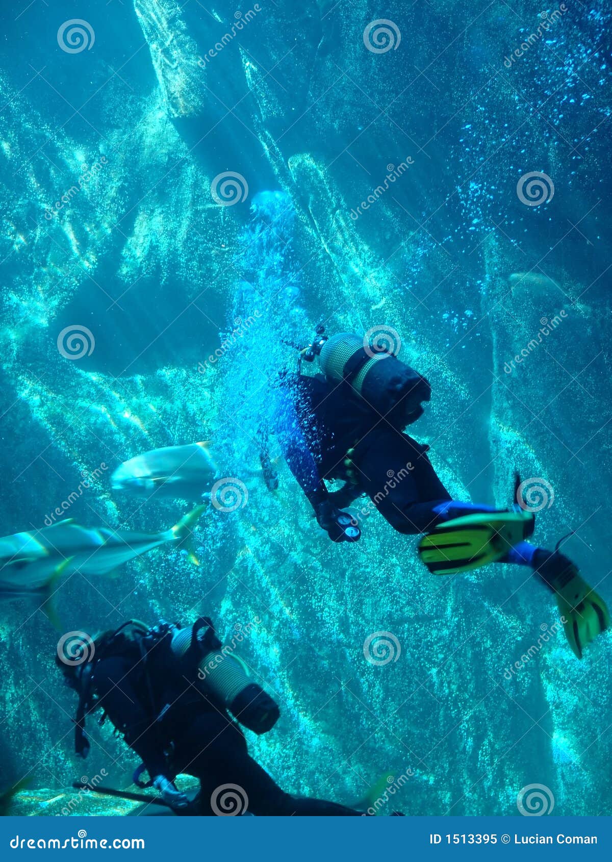 Scuba Divers Swimming Over Live Coral Reef Full Of Fish And Sea ...