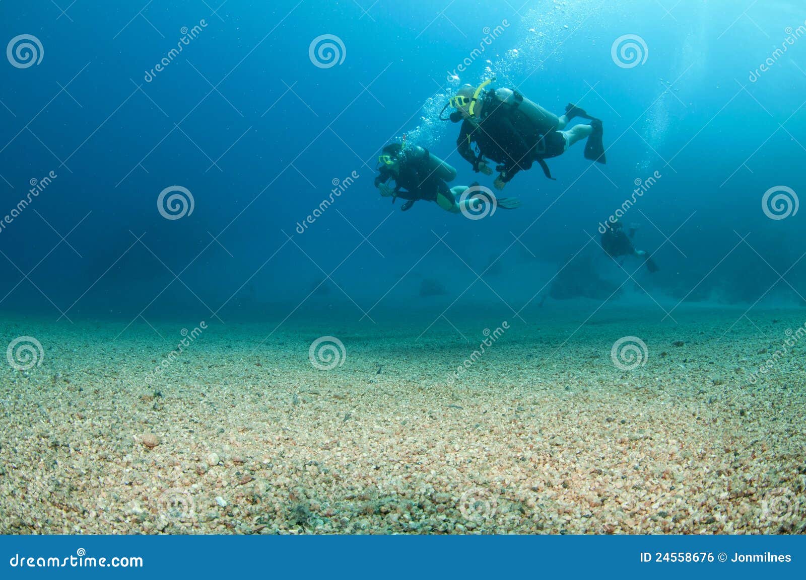 Scuba divers stock photo. Image of scuba, sport, divers - 24558676