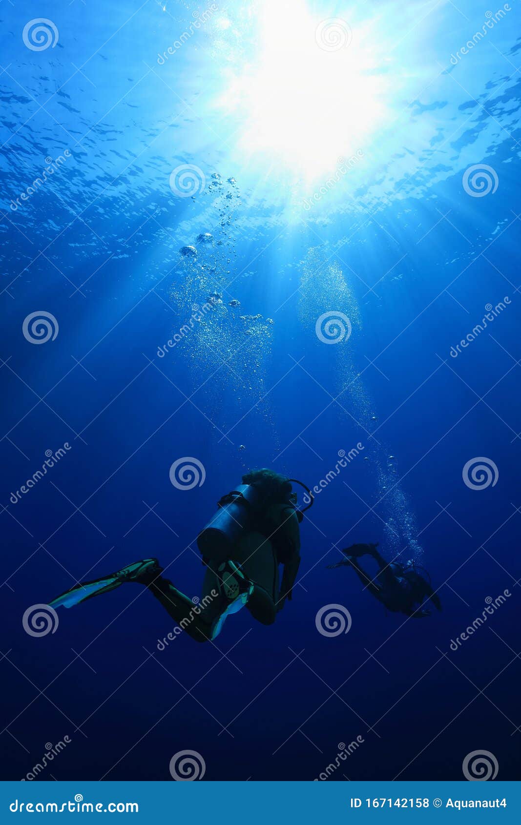 Scuba Divers in the Blue Water Stock Photo - Image of discovery, plunge ...