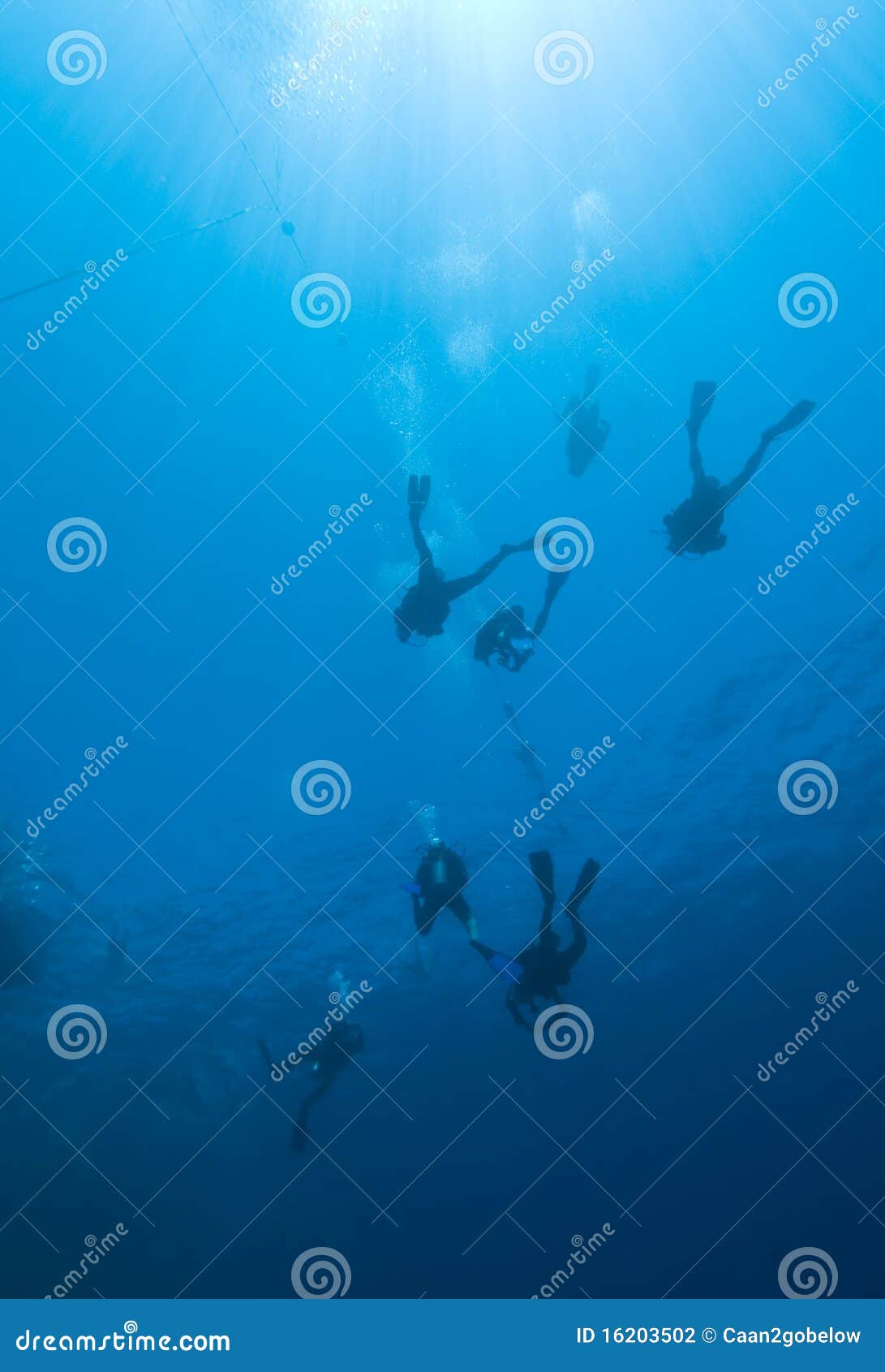 Scuba Divers Descending into the Blue. Stock Photo - Image of ...