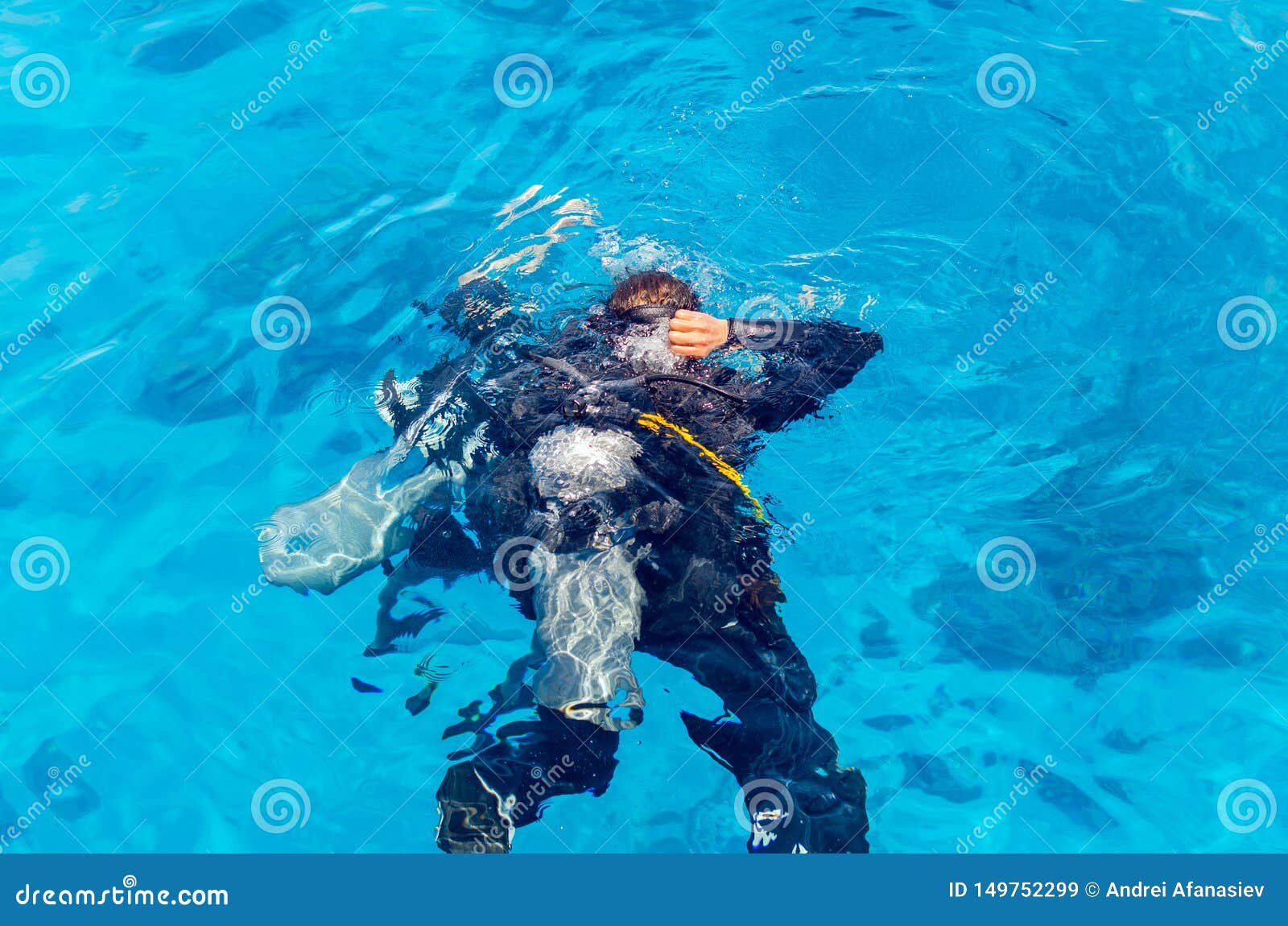 Scuba Divers Dive into the Clear Blue Water in the Sea Stock Image ...