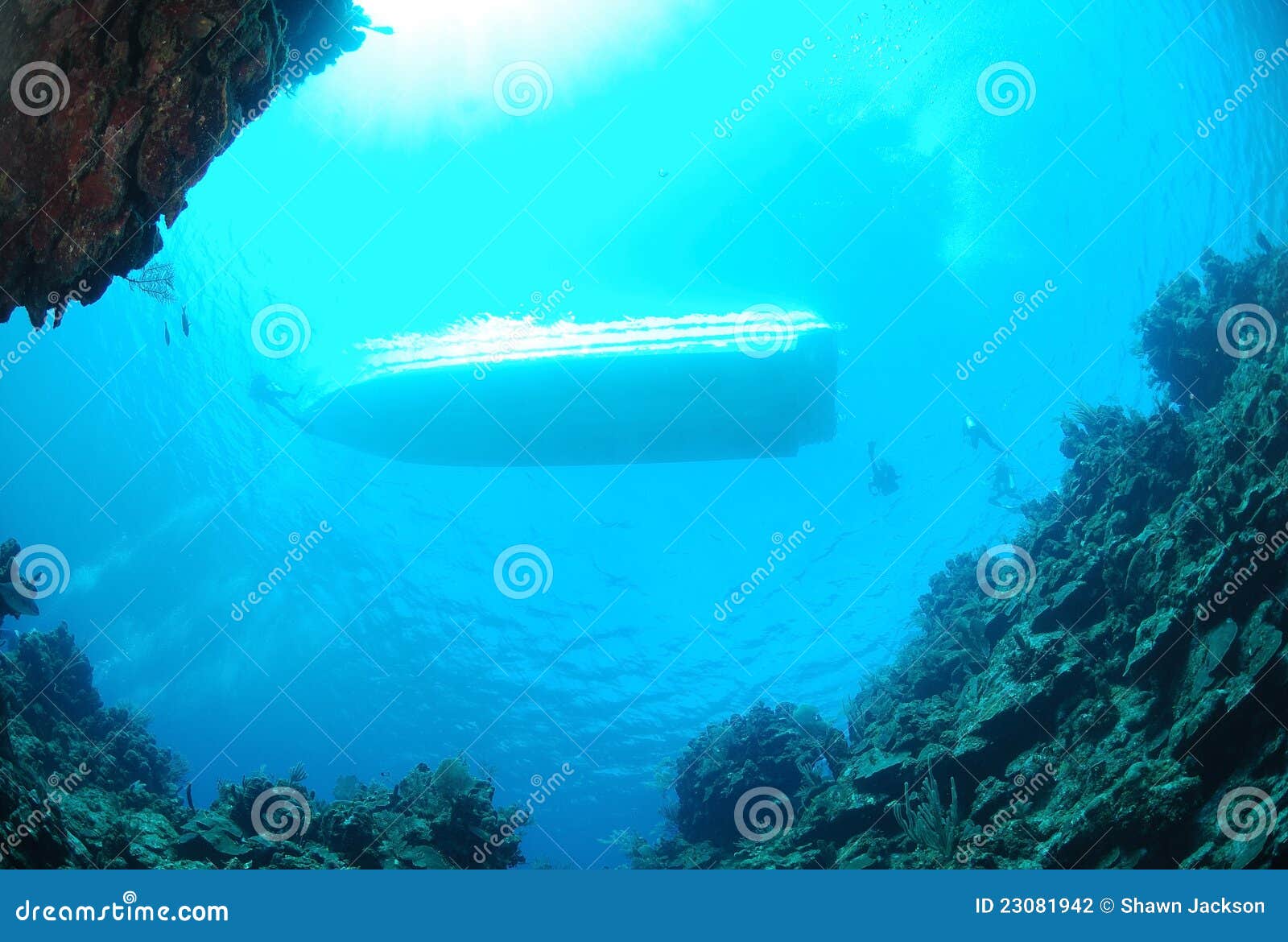 Scuba Divers Swimming Over Live Coral Reef Full Of Fish And Sea ...