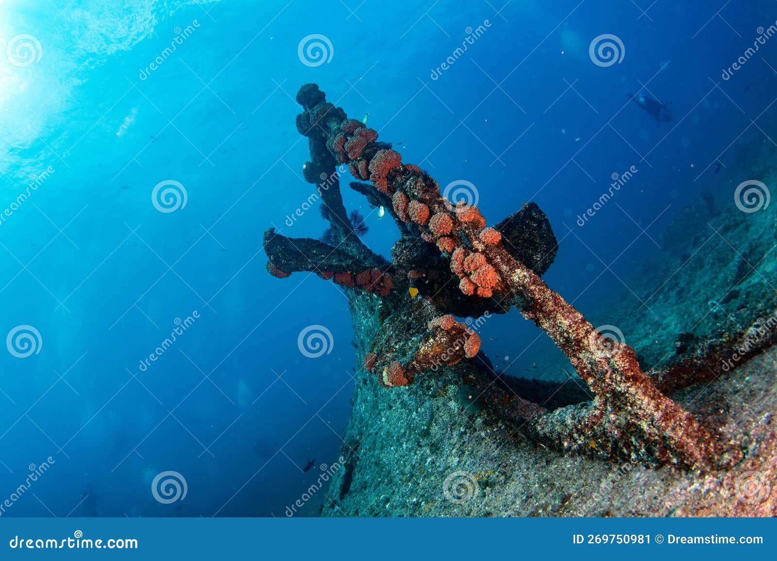 Scuba Divers Explores Propeller of Sunken Shipwreck in Cortez Sea Stock ...