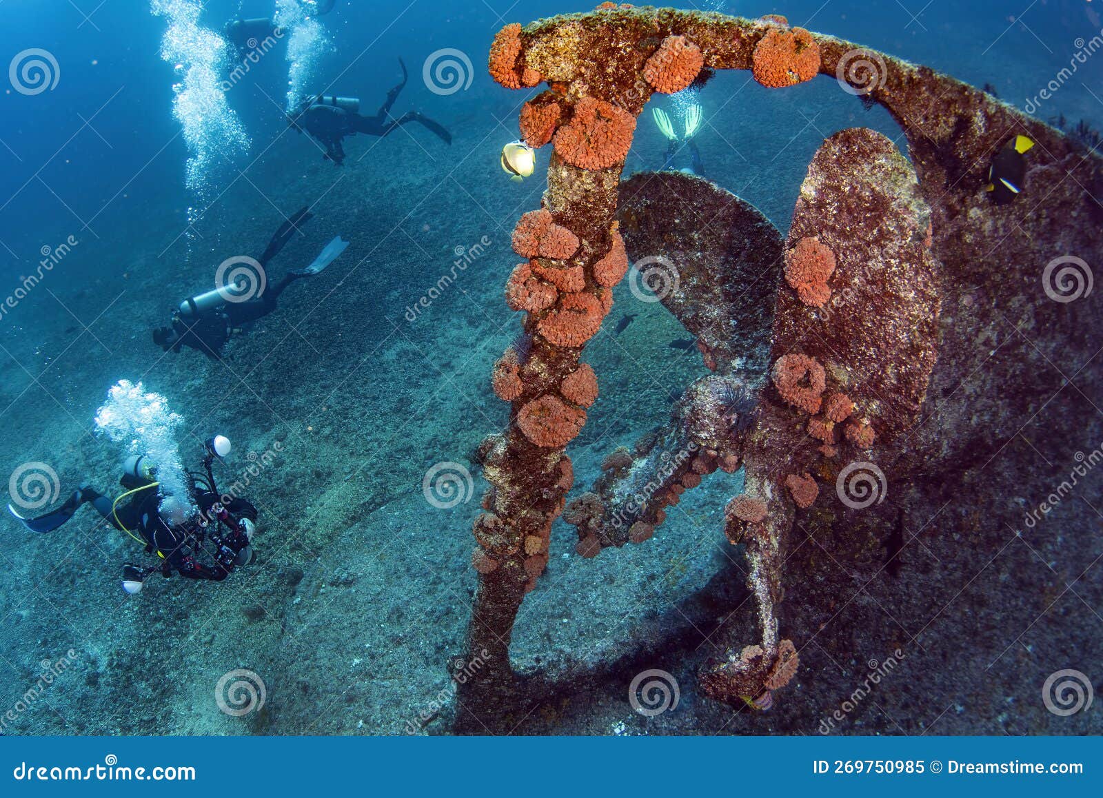 Scuba Divers Explores Propeller of Sunken Shipwreck in Cortez Sea Stock ...