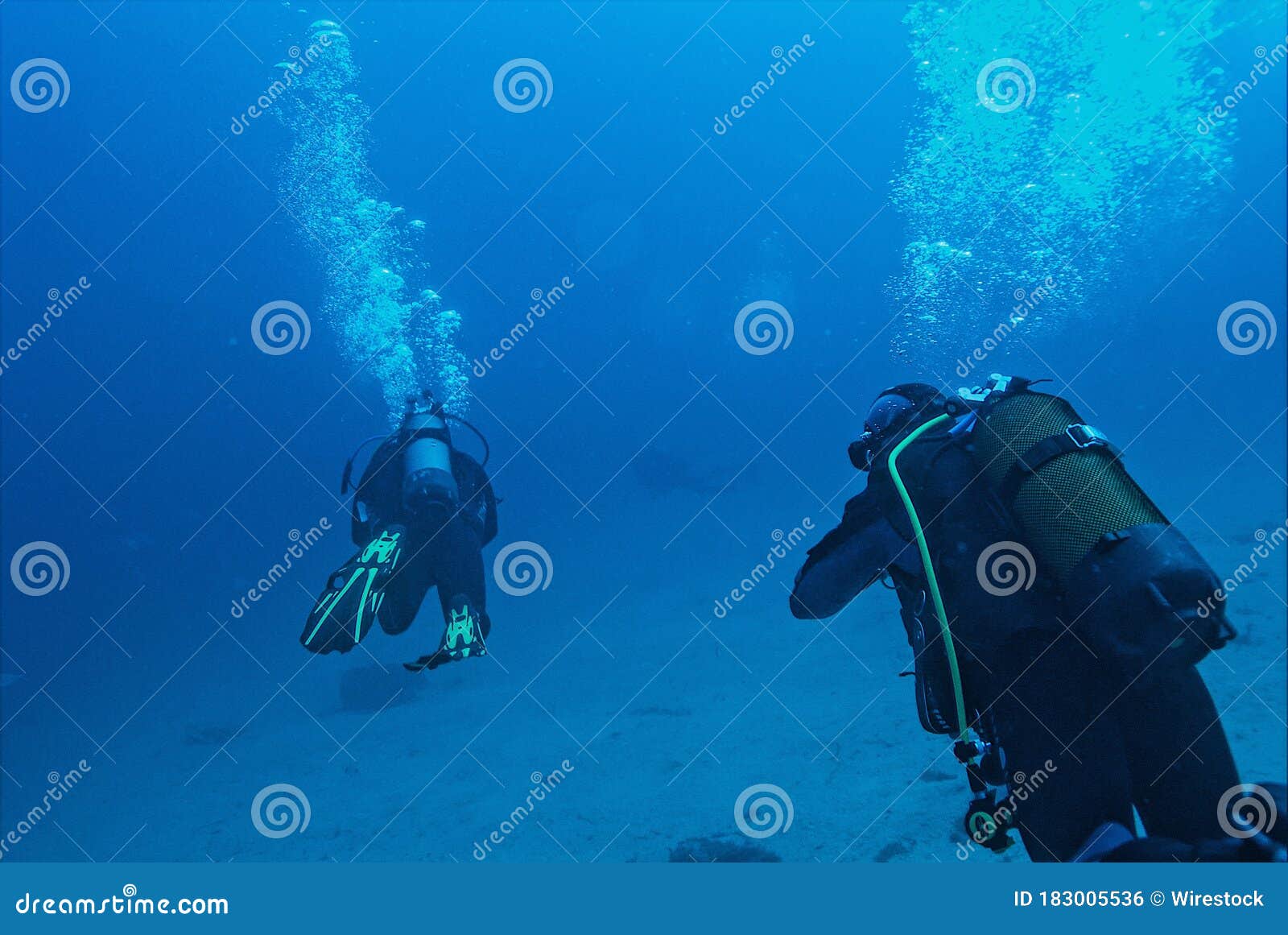 Scuba Divers Exploring the Beautiful Ocean Stock Photo - Image of reef ...