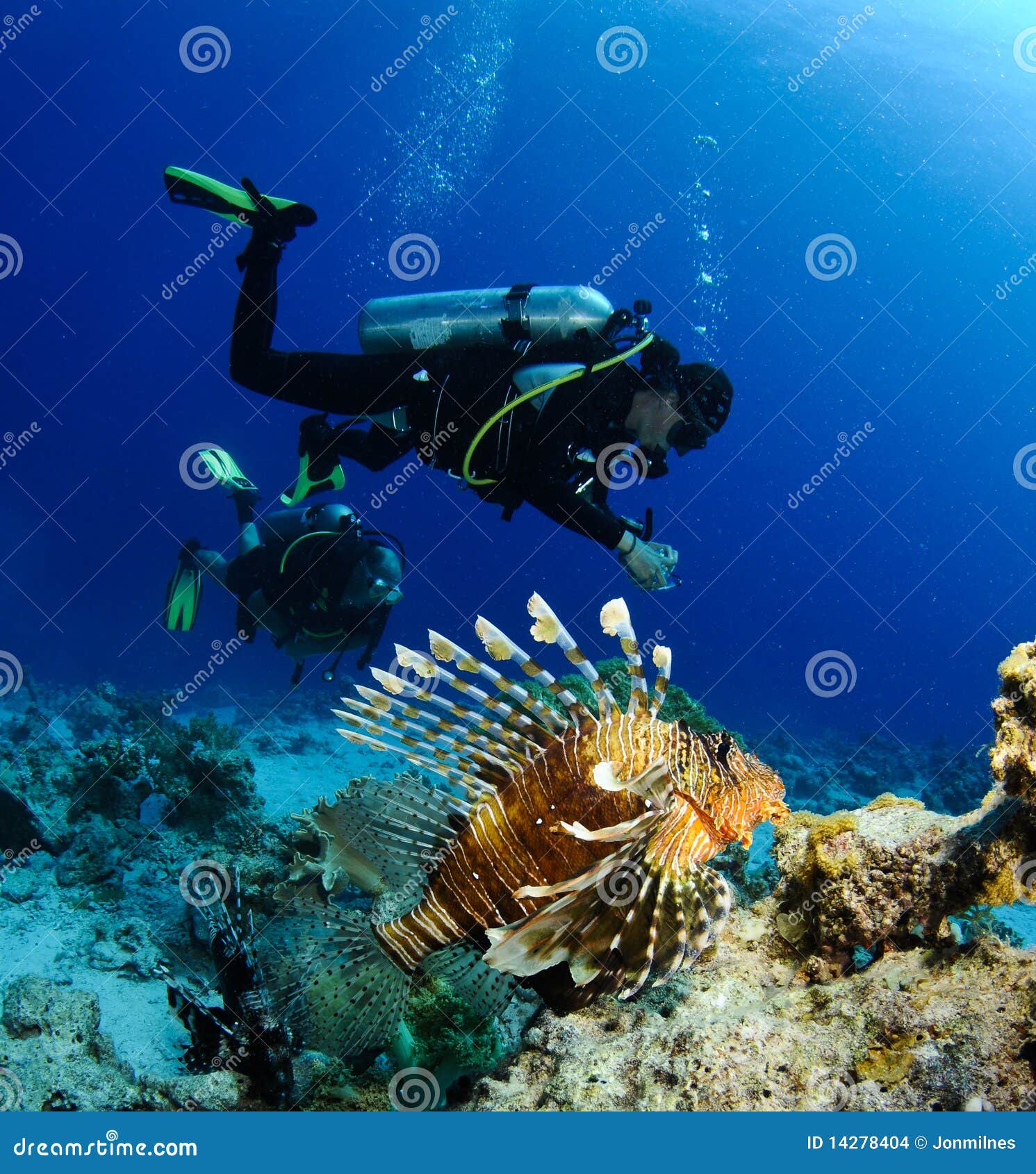 Scuba divers and lionfish stock photo. Image of deep - 14278404