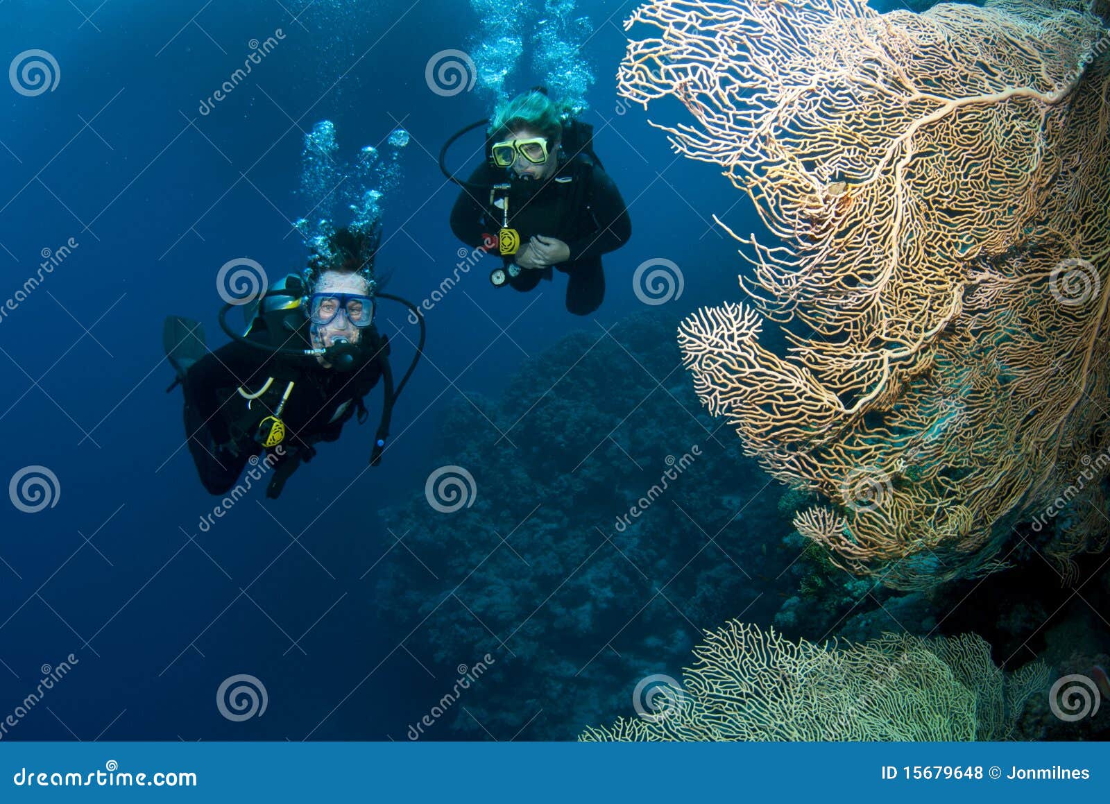 Scuba divers in red sea stock photo. Image of mask, tropical - 15679648