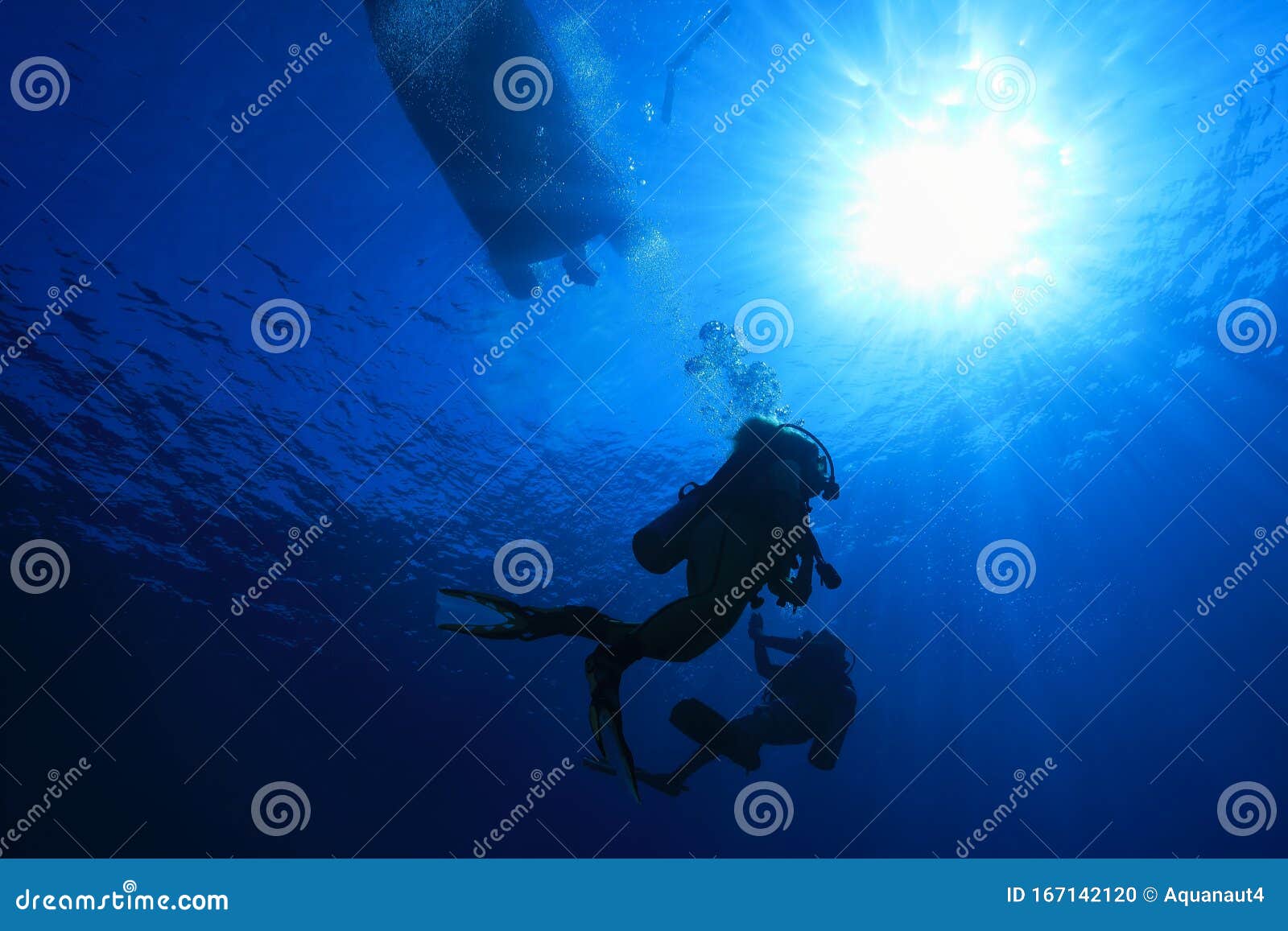 Scuba Divers on Safety Stop Stock Photo - Image of plunge, stop: 167142120