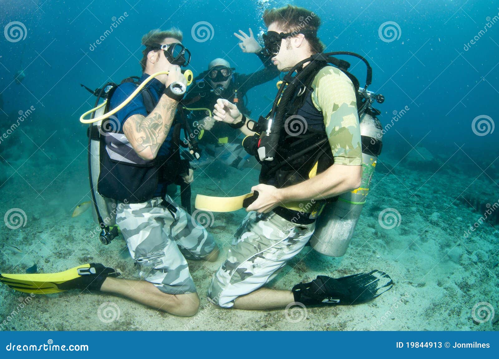 Scuba Divers Under the Water Stock Image - Image of marine, environment ...