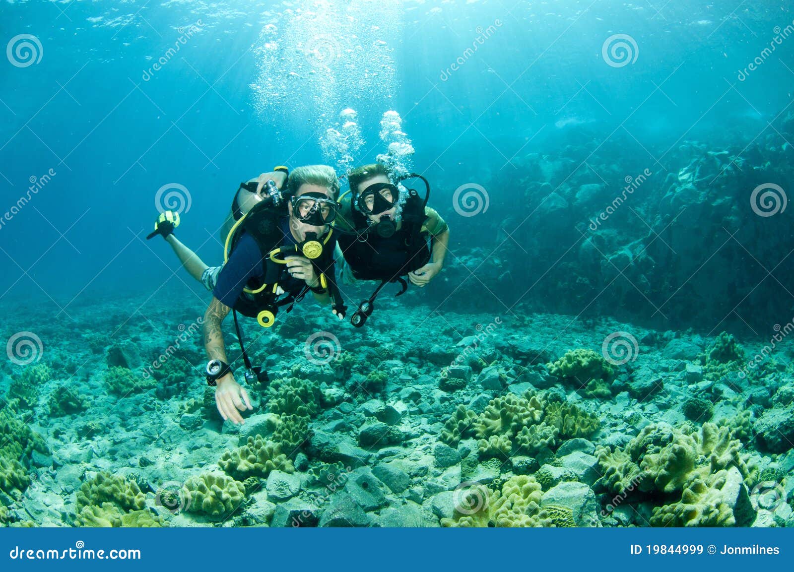 Scuba Divers Under the Water Stock Image - Image of diver, fish: 19844999