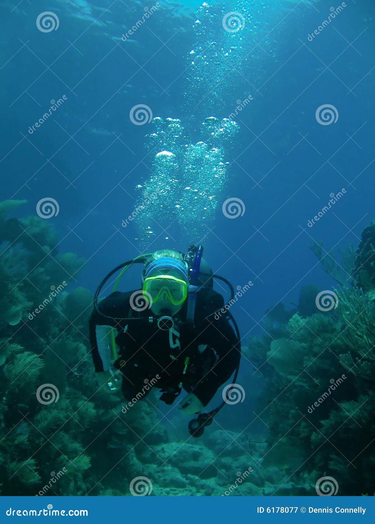 Scuba diving stock image. Image of aged, hobbyists, diver - 6178077