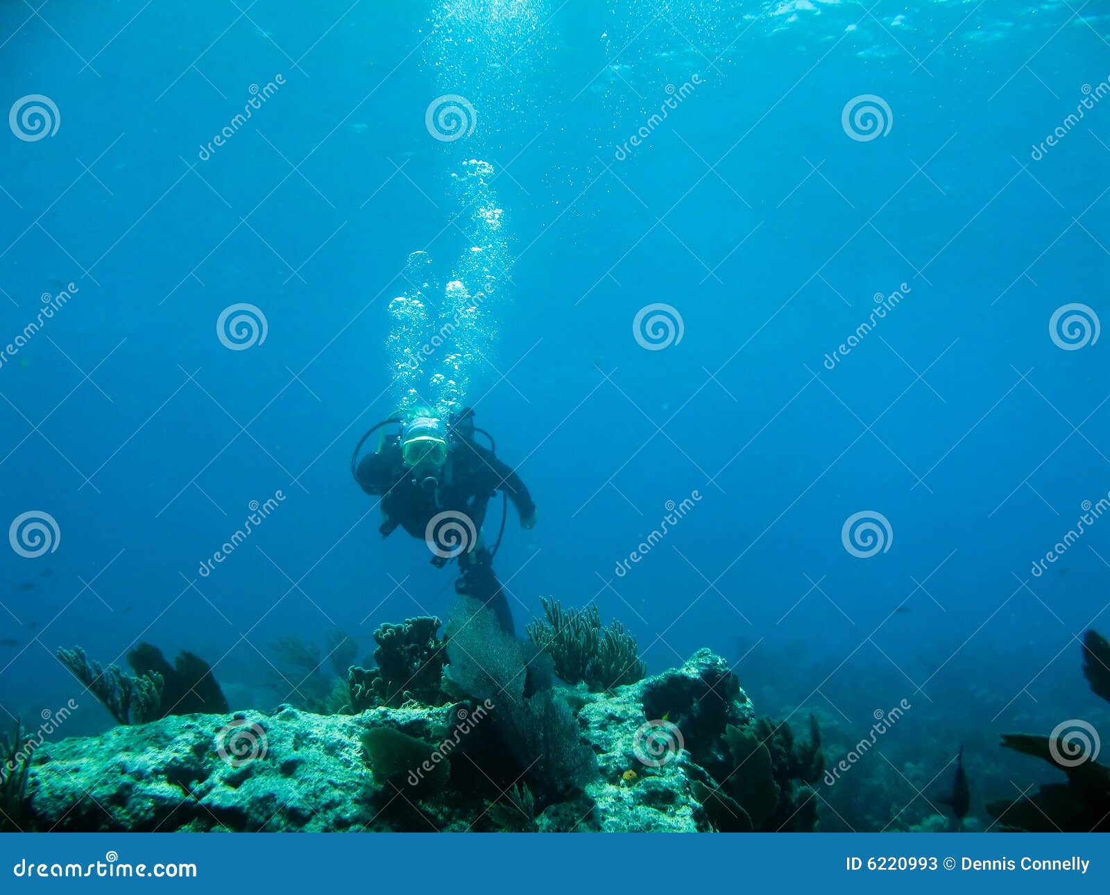 Scuba diving stock image. Image of bubbles, underwater - 6220993