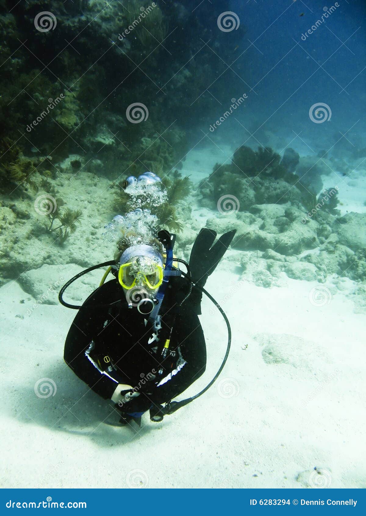 Scuba diving stock photo. Image of scuba, bubbles, underwater - 6283294