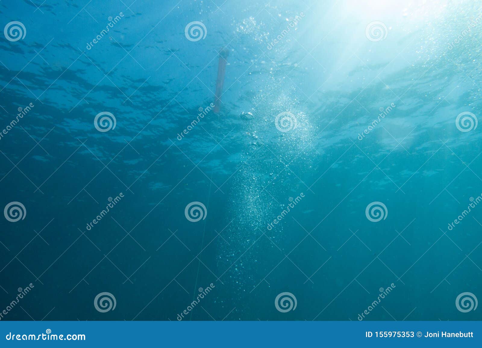 Scuba Diving Bubbles Rising To the Surface Stock Image - Image of drop ...