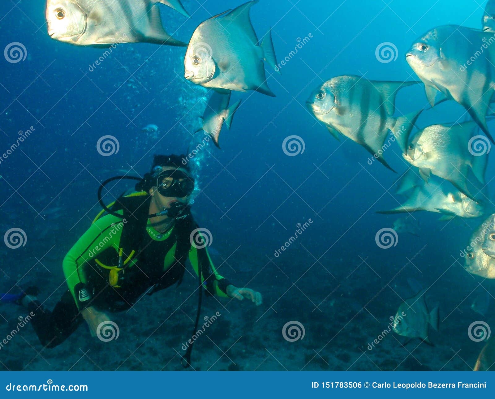Scuba Diving in CearÃ¡, Brazil Editorial Photo - Image of fish ...