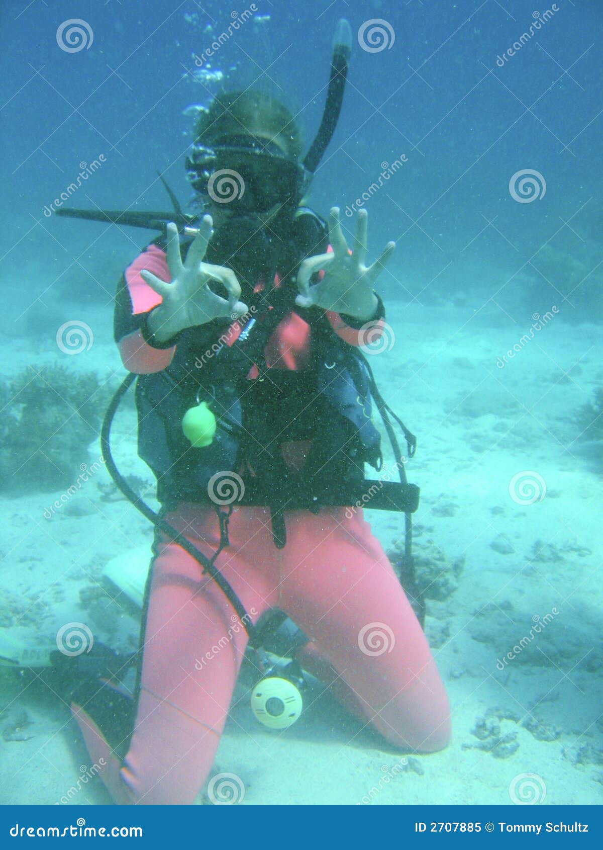 Scuba diving class stock image. Image of diving, ecotourism - 2707885