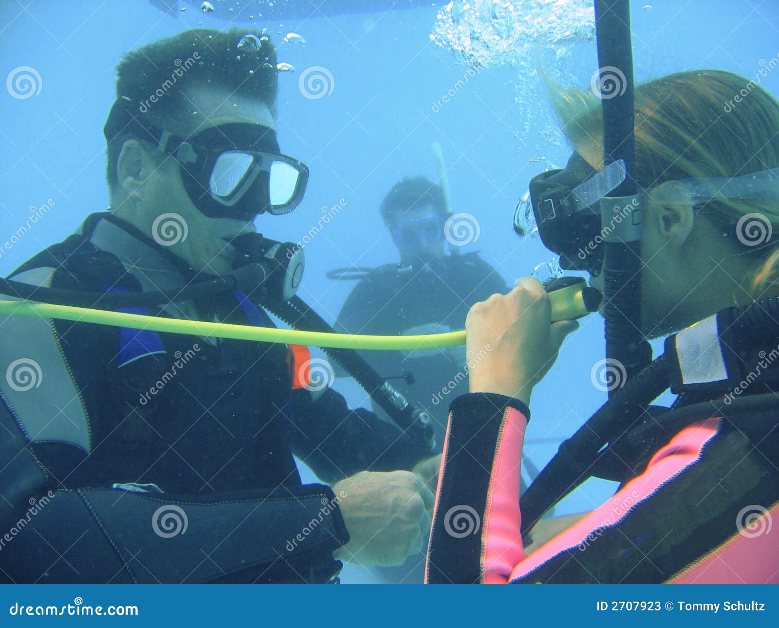 Scuba diving class stock image. Image of class, anemone - 2707923