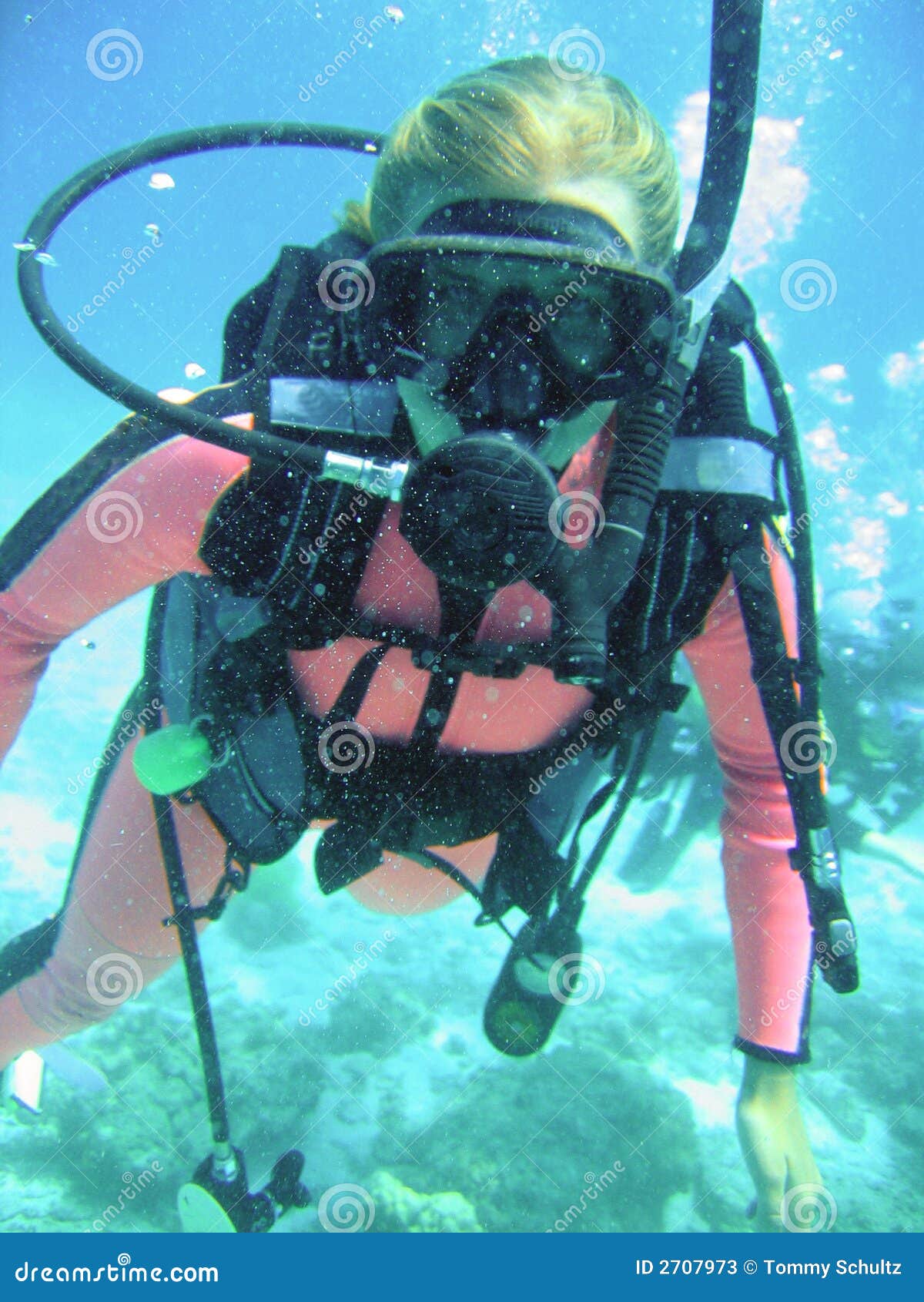 Scuba diving class stock image. Image of education, fins - 2707973