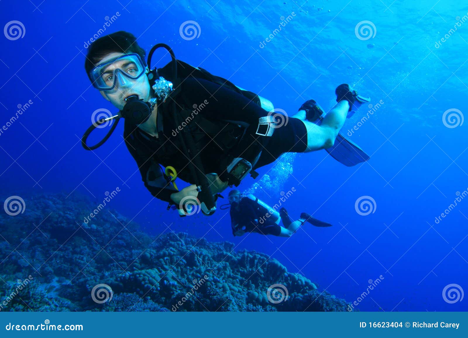 Scuba diving on coral reef stock photo. Image of aquatic - 16623404