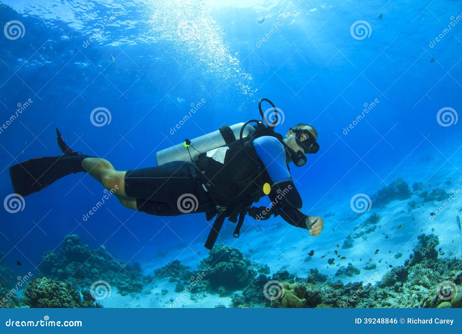 Scuba Diving stock photo. Image of ocean, diver, float - 39248846