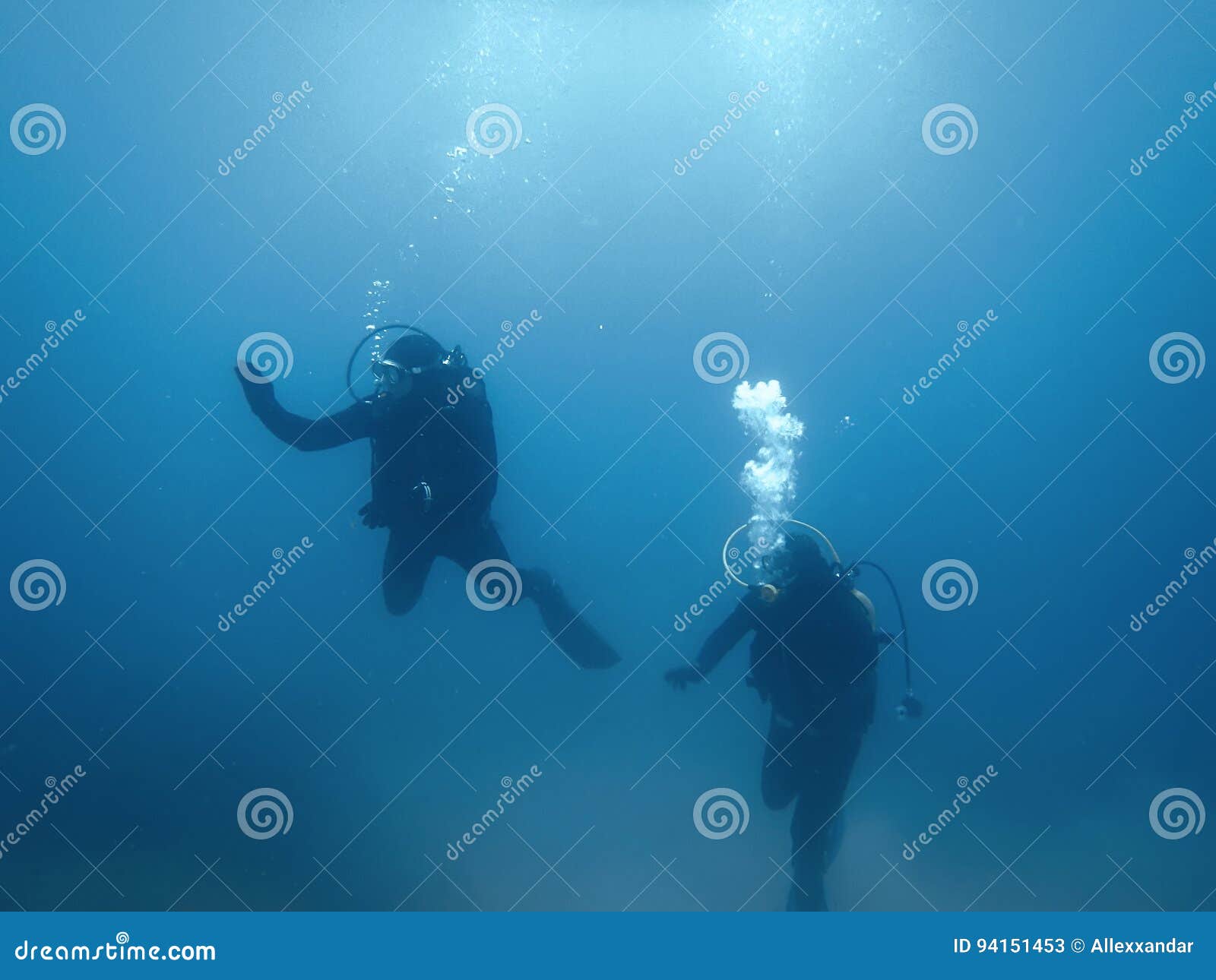 Scuba Diving. Divers Underwater Stock Image - Image of person, diver ...