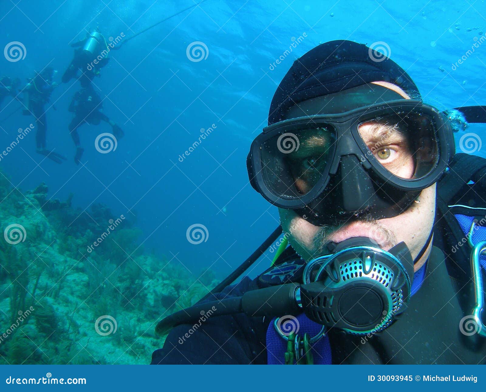 Scuba Diver stock image. Image of water, natural, florida - 30093945