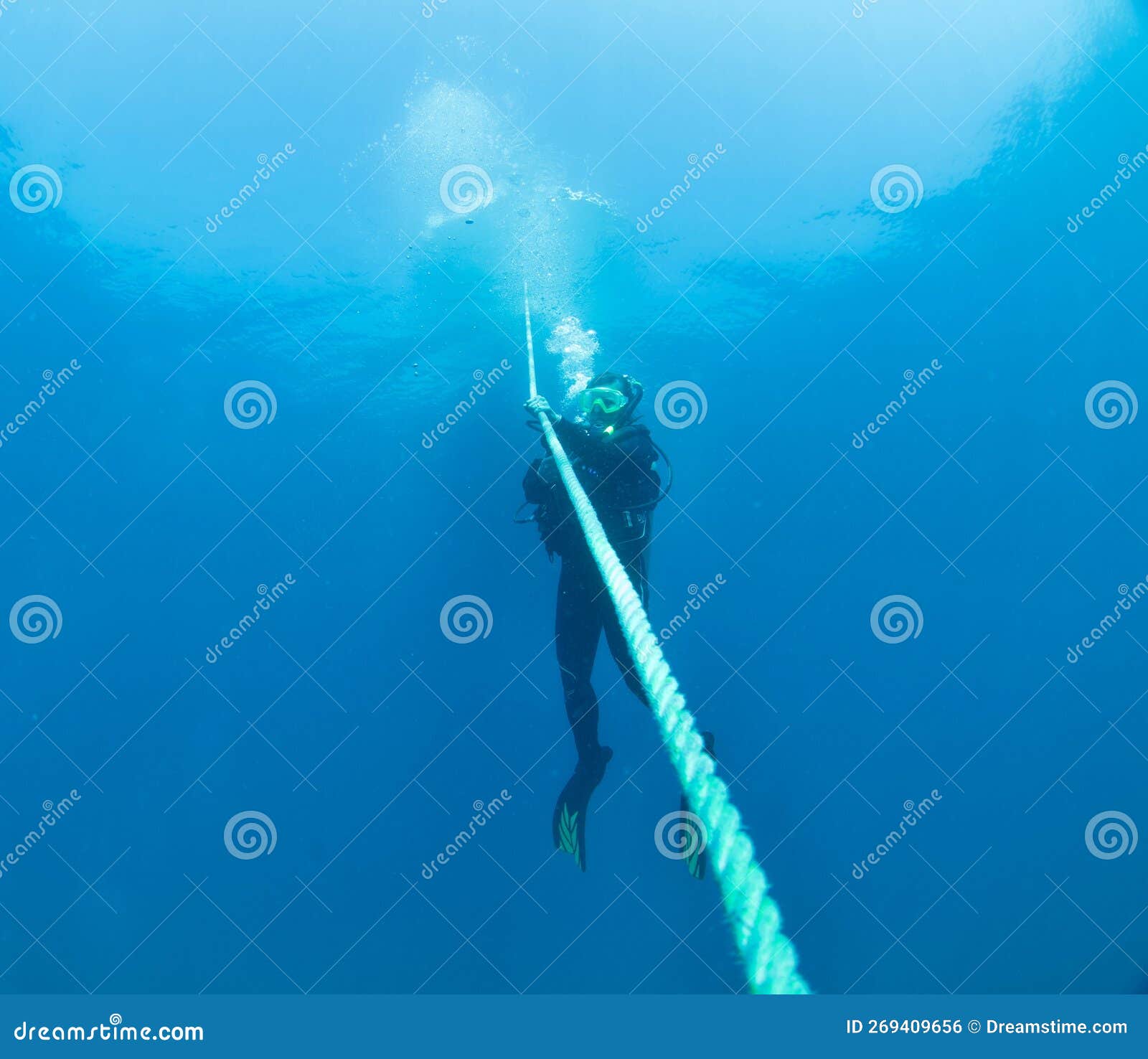 Scuba diving in ocean stock photo. Image of nature, tropical - 269409656